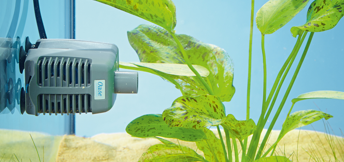 Oase Pumps – Cuboid Aquatics LLC