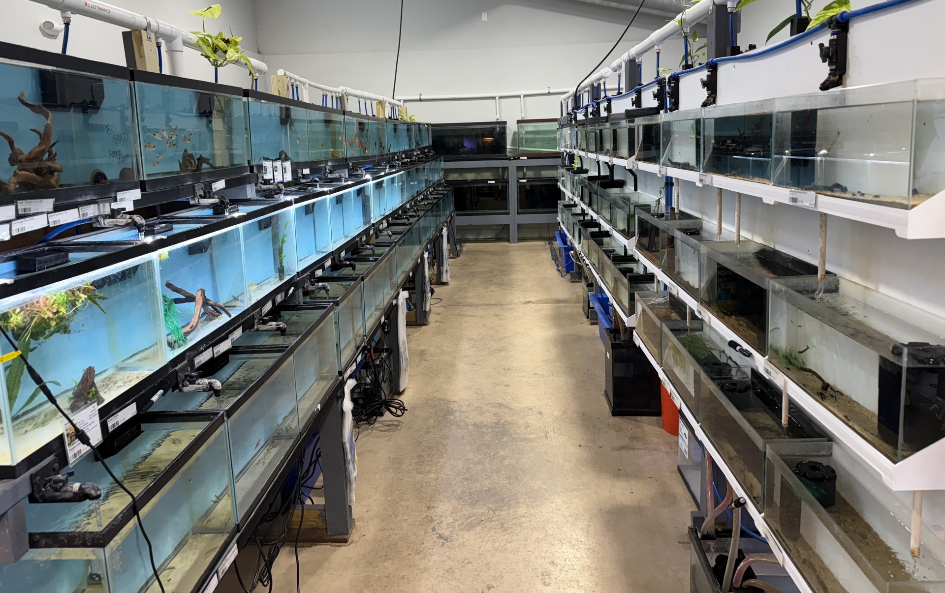 Gallery – Cuboid Aquatics LLC