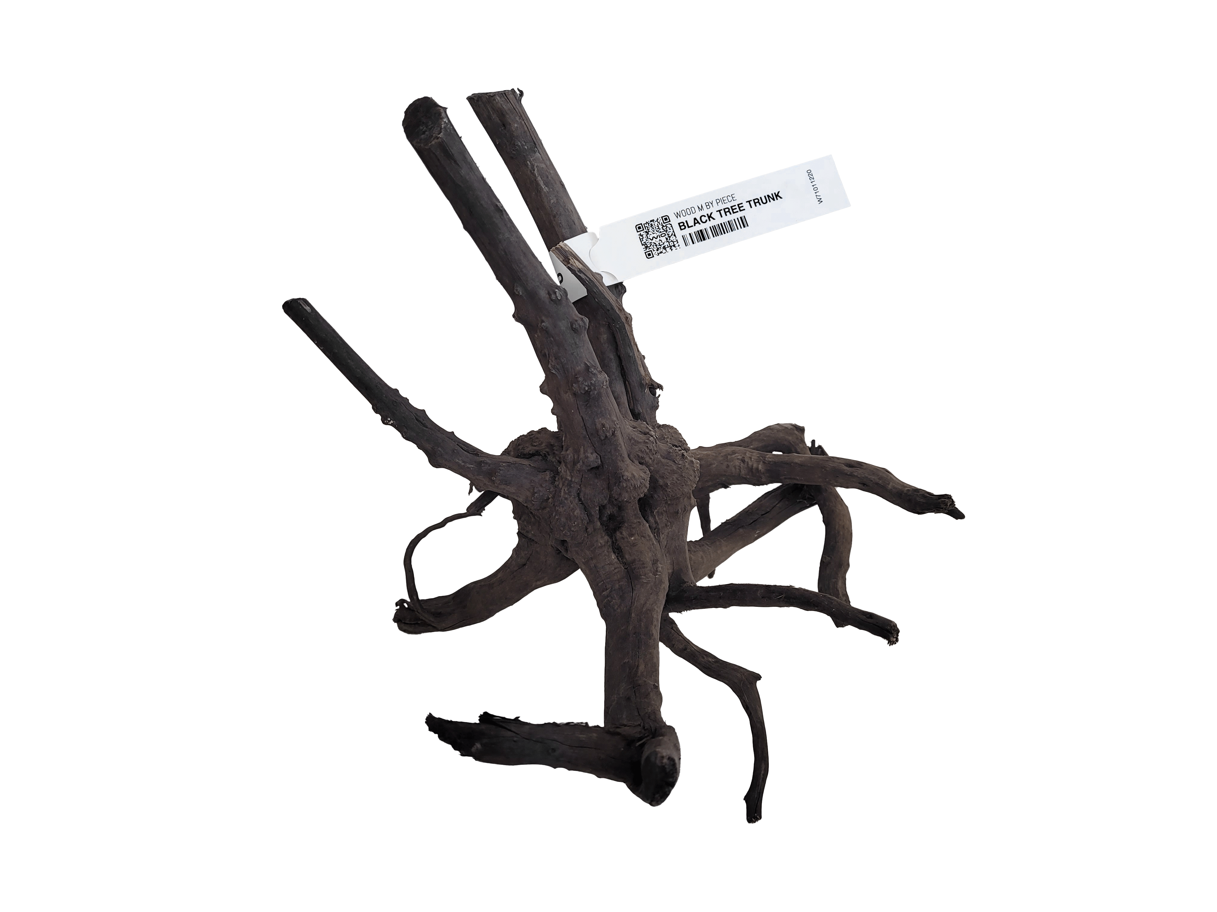 WIO Wood - Black Tree Trunk – Cuboid Aquatics LLC