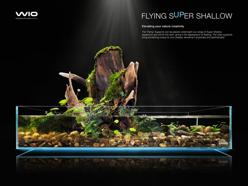 Cuboid Nature Aquarium